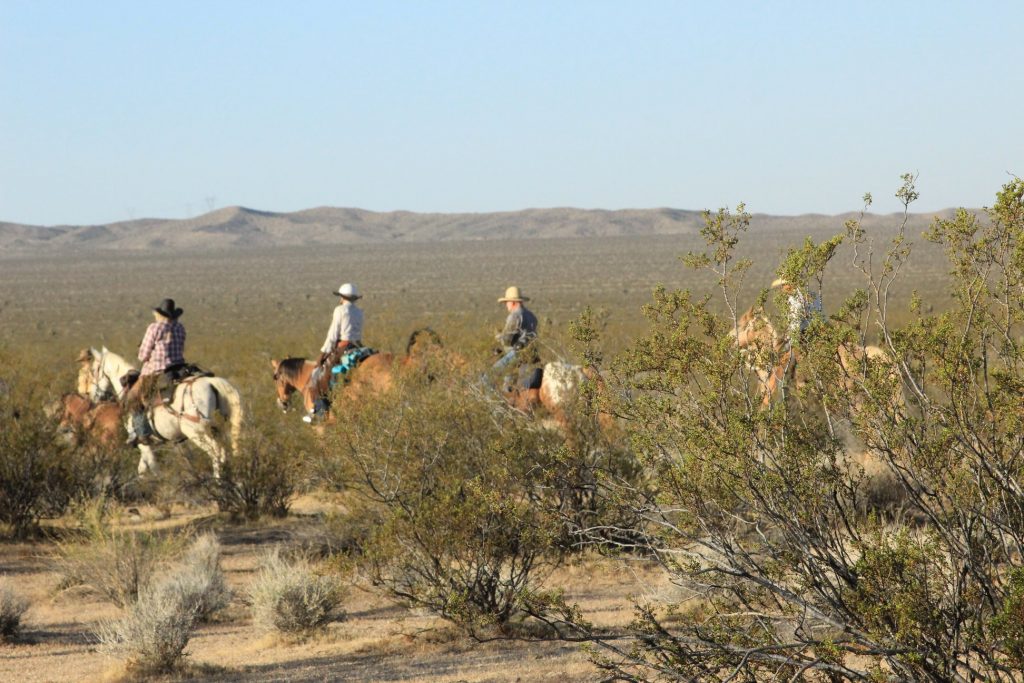 About Our Ride – Norco Mojave Trail Ride